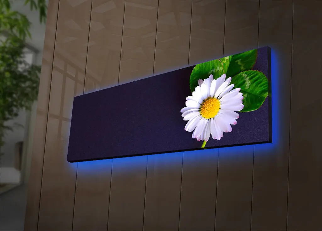 Wallity Slika sa LED osvetljenjem 3090DACT-56, 30x90 cm