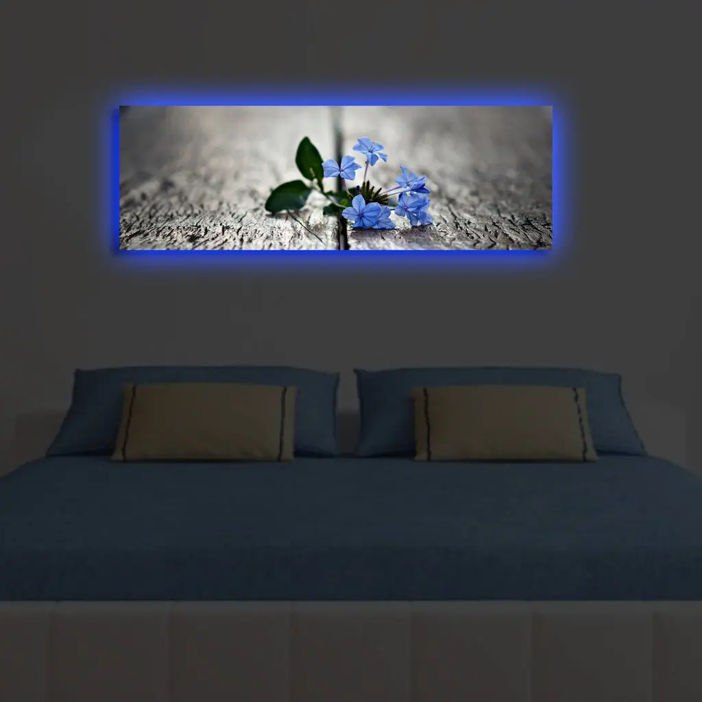 Wallity Slika sa LED osvetljenjem 3090DACT-49, 30x90 cm