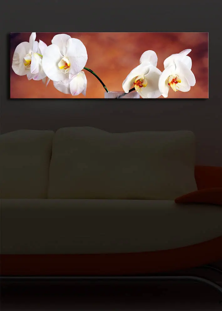Wallity Slika sa LED osvetljenjem 3090İACT-19, 30x90 cm