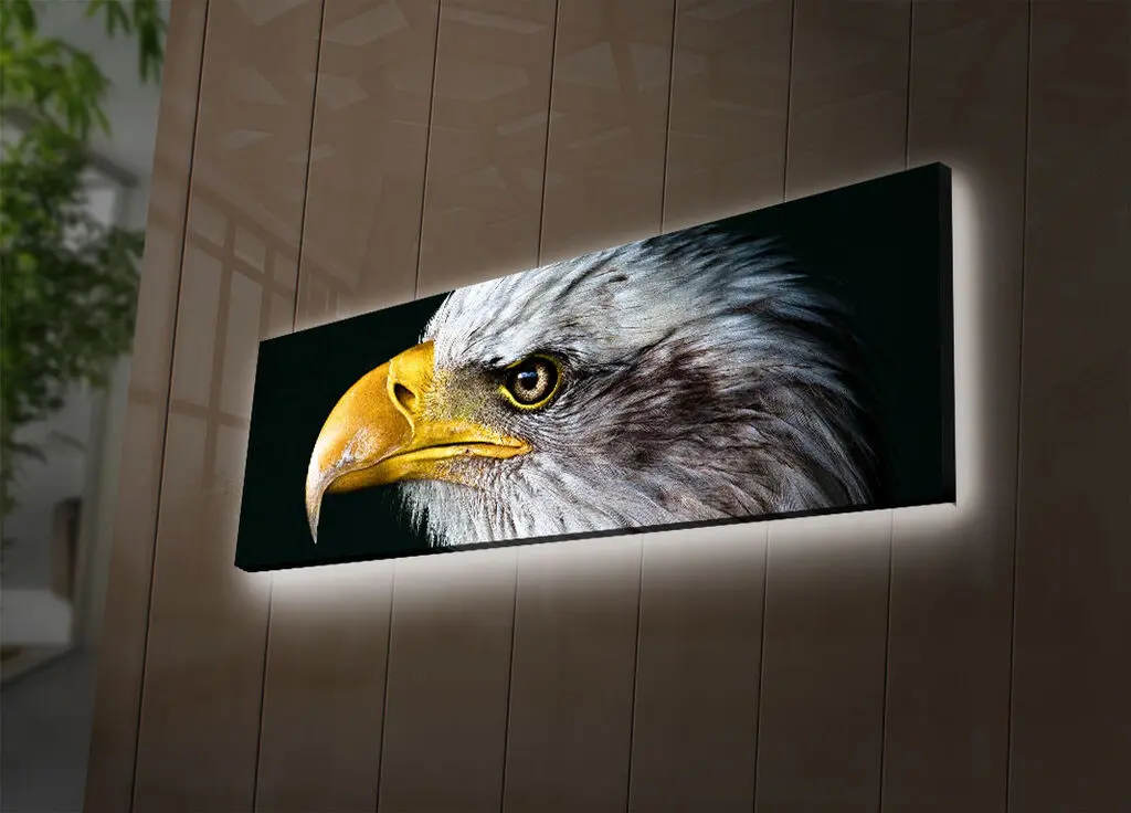 Wallity Slika sa LED osvetljenjem 3090DACT-62, 30x90 cm