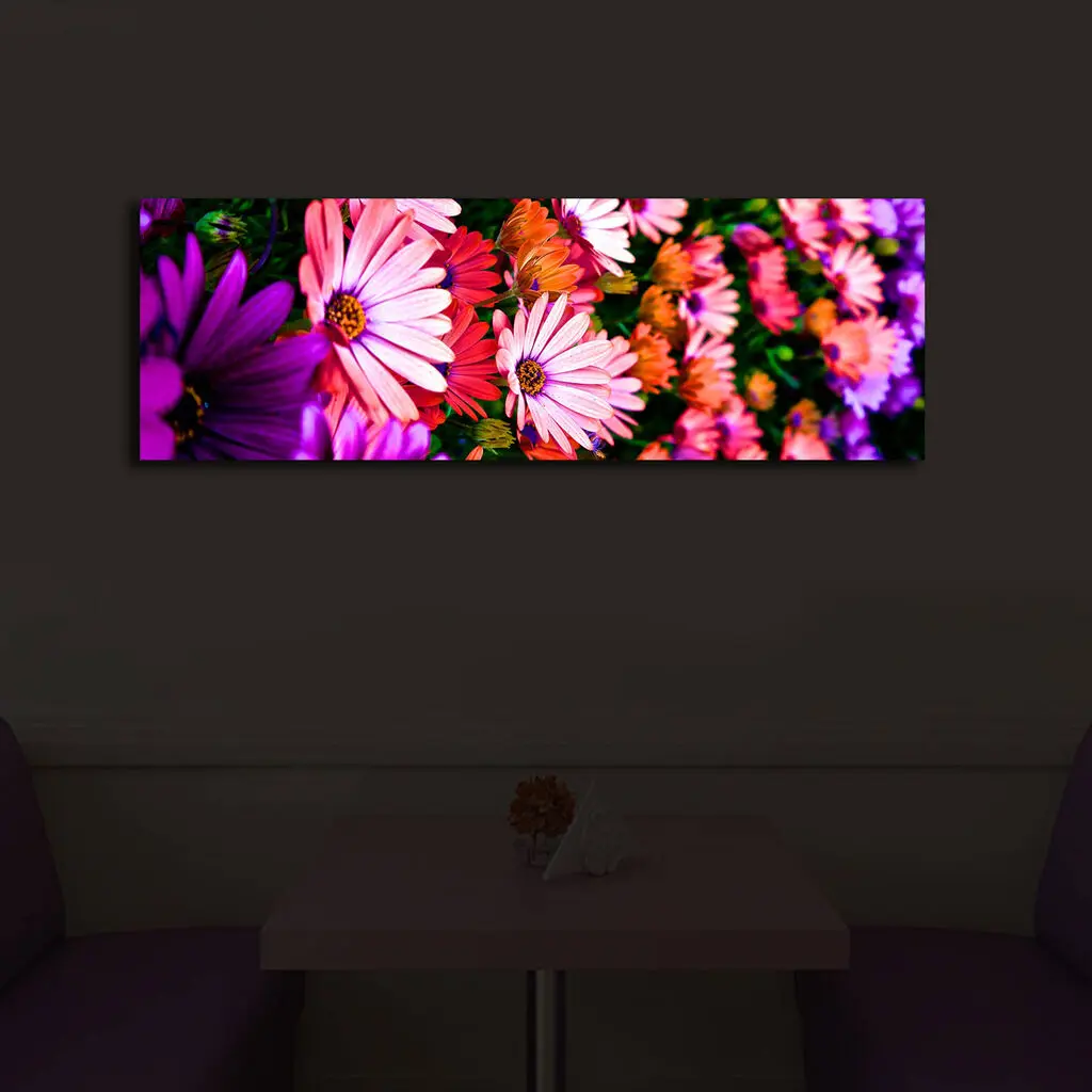 Wallity Slika sa LED osvetljenjem 3090İACT-43, 30x90 cm