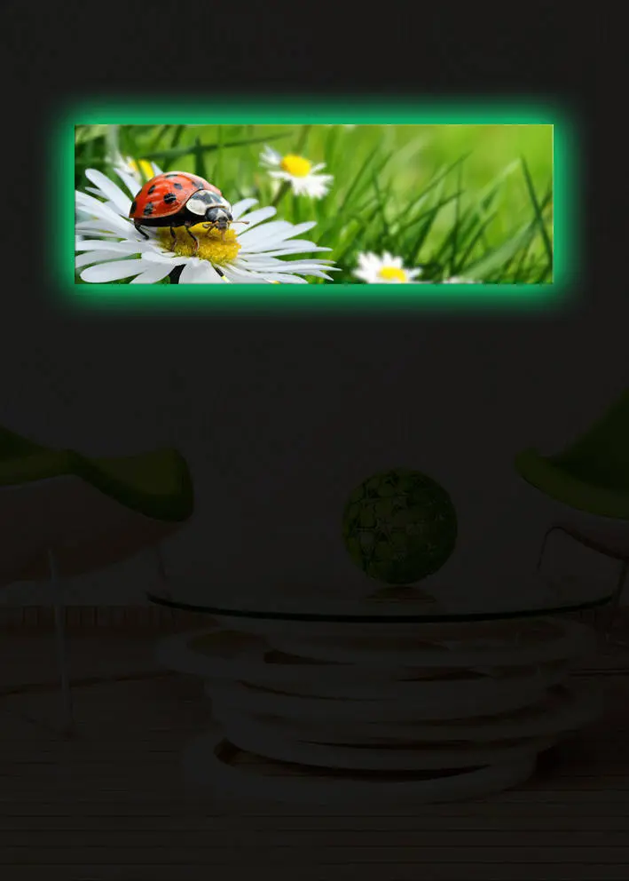 Wallity Slika sa LED osvetljenjem 3090DACT-10, 30x90 cm
