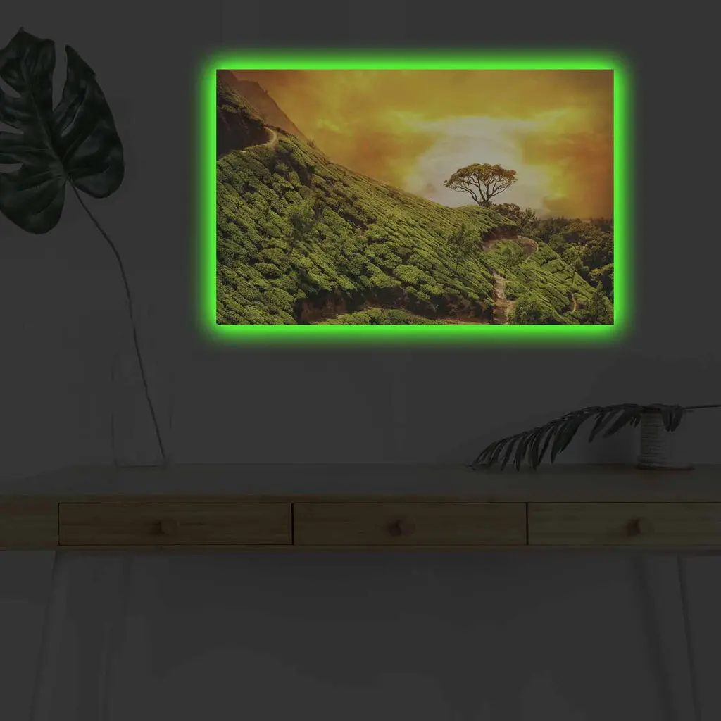 Wallity Slika sa LED osvetljenjem 4570DHDACT-110, 45x70 cm