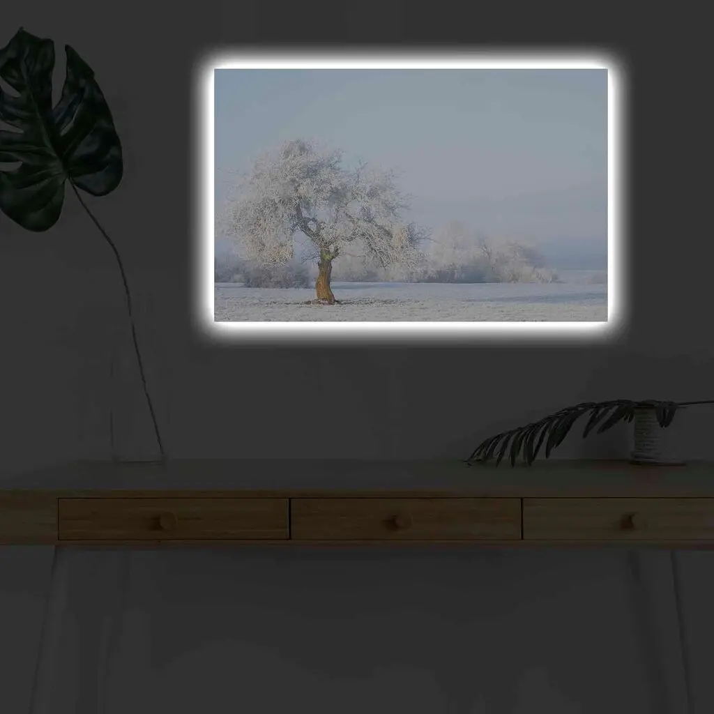 Wallity Slika sa LED osvetljenjem 4570KARDACT - 010, 45x70 cm
