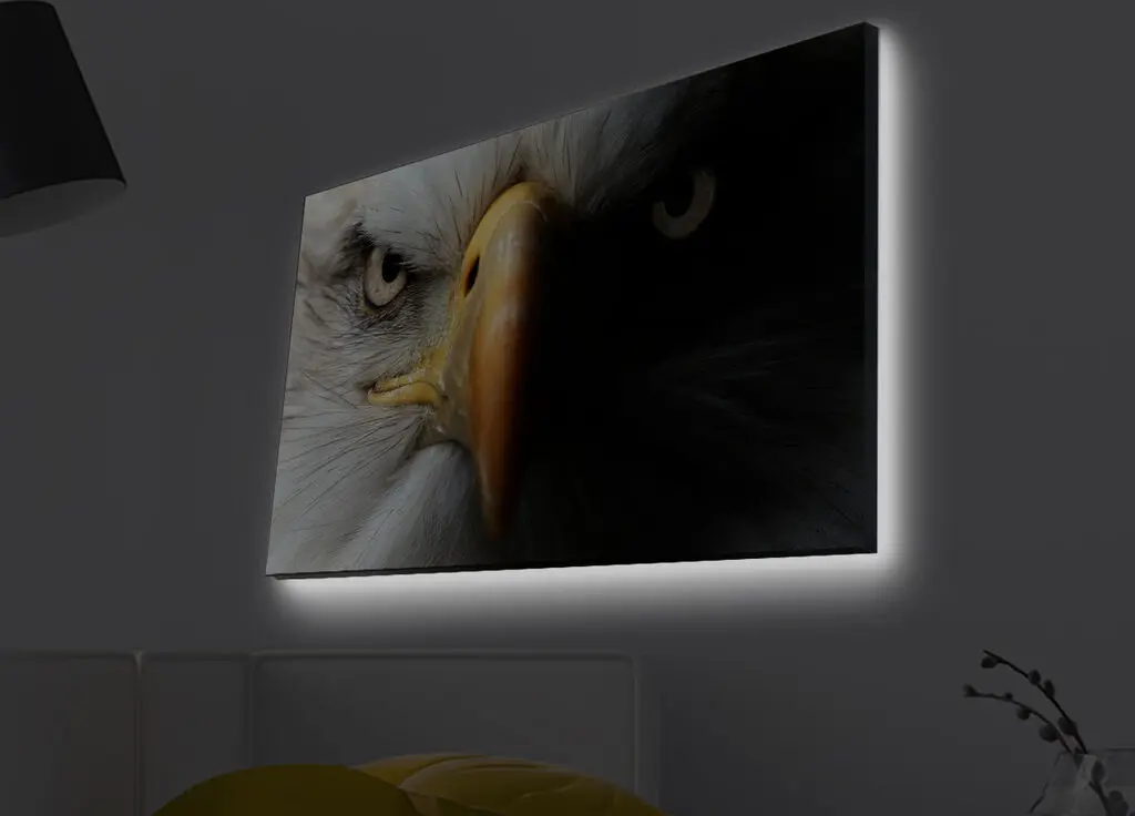 Wallity Slika sa LED osvetljenjem 4570MDACT-025, 45x70 cm