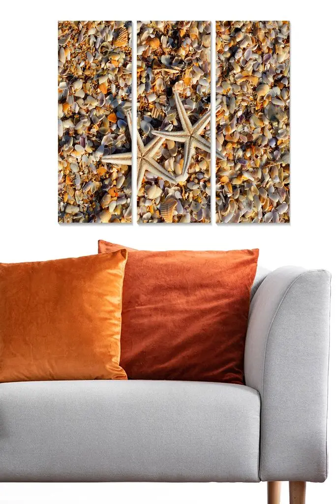 Wallity Set slika MDF1572797, 3 Dela