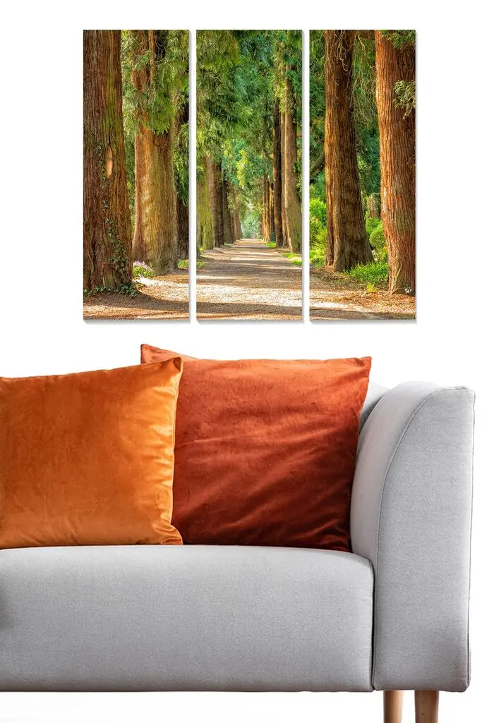 Wallity Set slika MDF2215317, 3 Dela