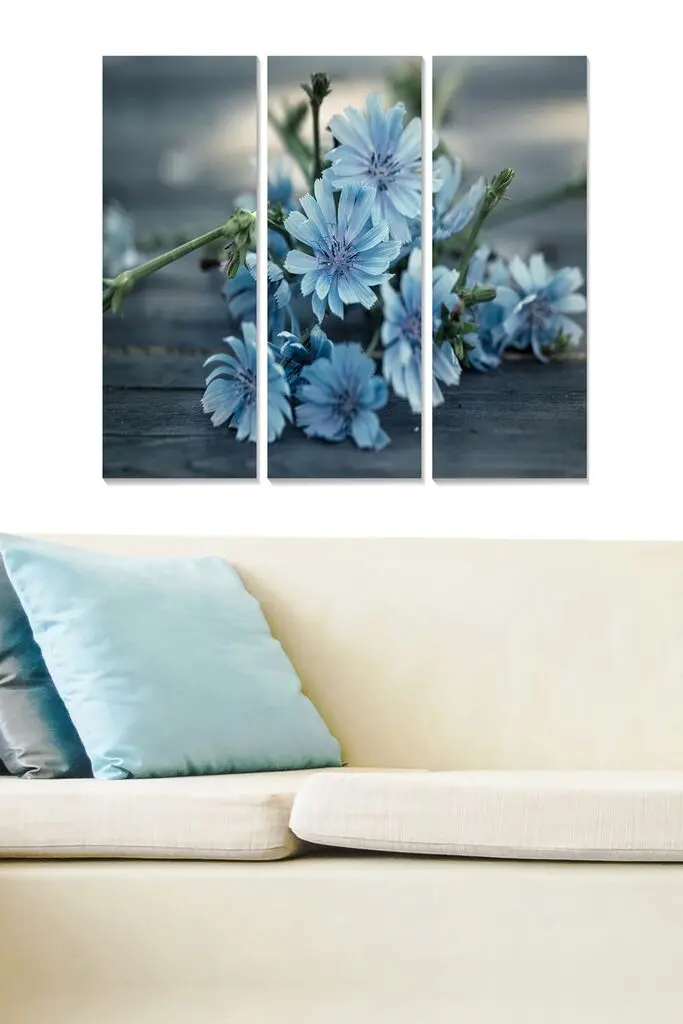 Wallity Set slika MDF299614934, 3 Dela