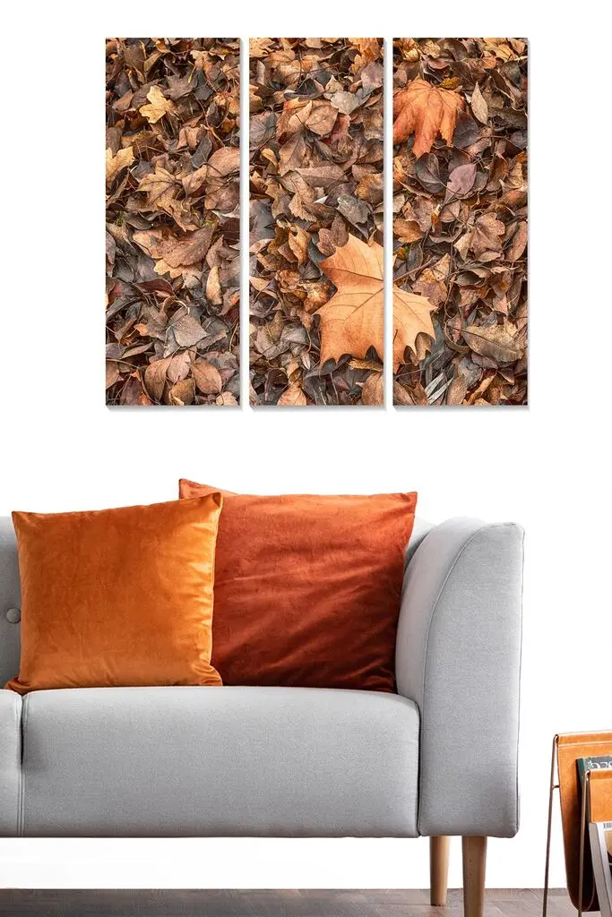 Wallity Set slika MDF3828470, 3 Dela