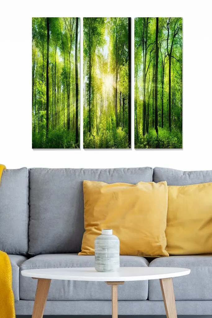 Wallity Set slika MDF276530603, 3 Dela