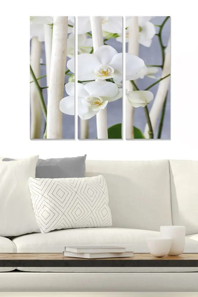 Wallity Set slika MDF288791672, 3 Dela