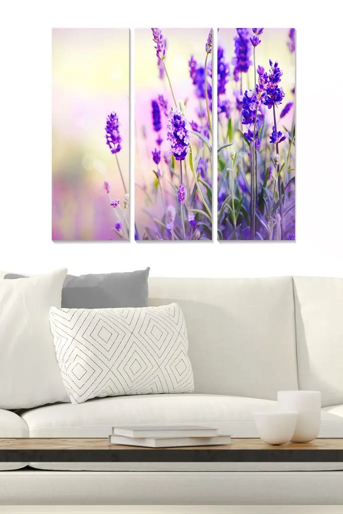Wallity Set slika MDF2459272, 3 Dela
