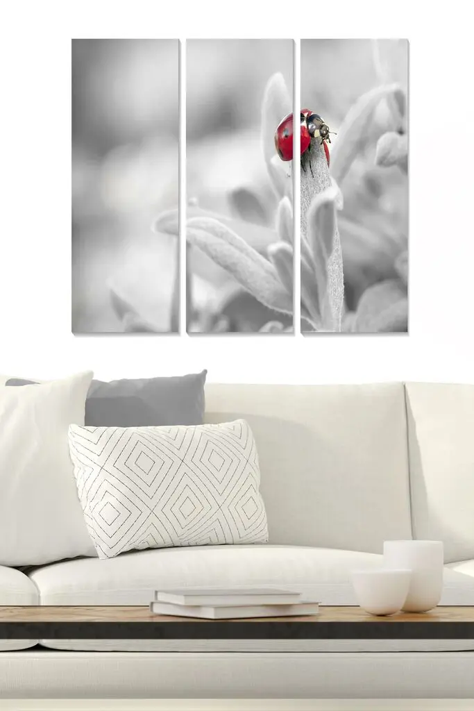 Wallity Set slika MDF796483, 3 Dela