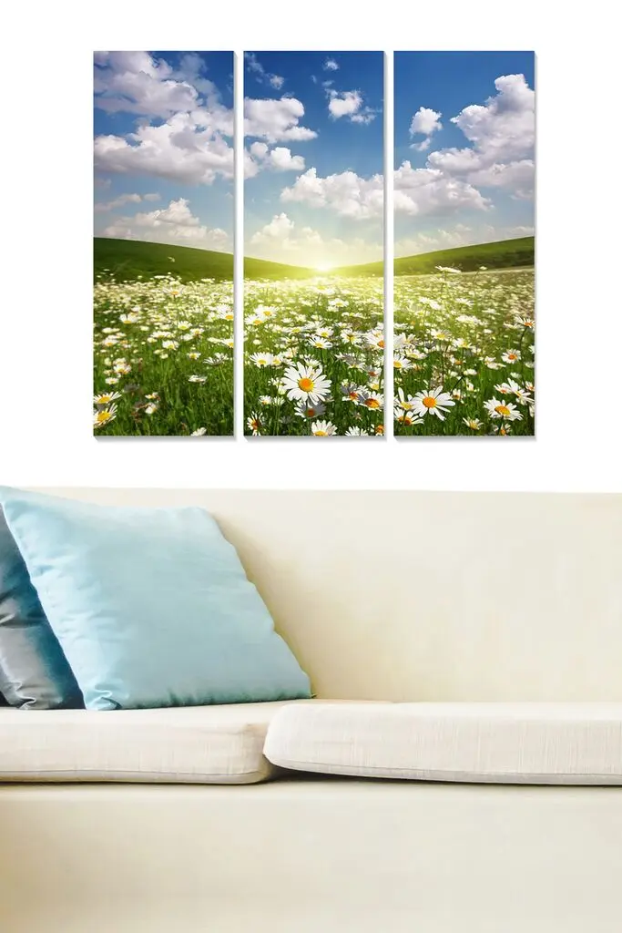 Wallity Set slika MDF89336530, 3 Dela