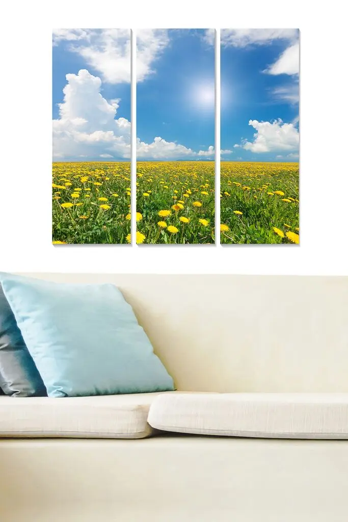 Wallity Set slika MDF80824048, 3 Dela