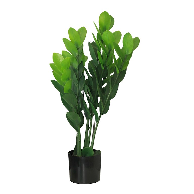 Dekordom Cvet u saksiji - money grass 5pcs - n60ID: EK000769925