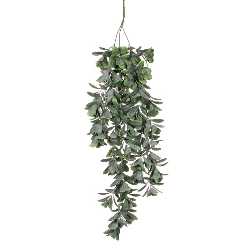 Dekordom Cvet crassula 79cm 1021018 - green - edlID: EK000769981
