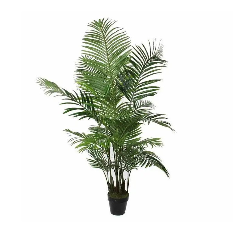 Dekordom Drvo u saksiji areca palm 160cm 1026427 - edlID: EK000770090