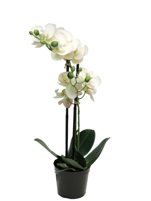 Dekordom Cvet u saksiji orchid 50cm 51344-0 - white - nntID: EK000770134