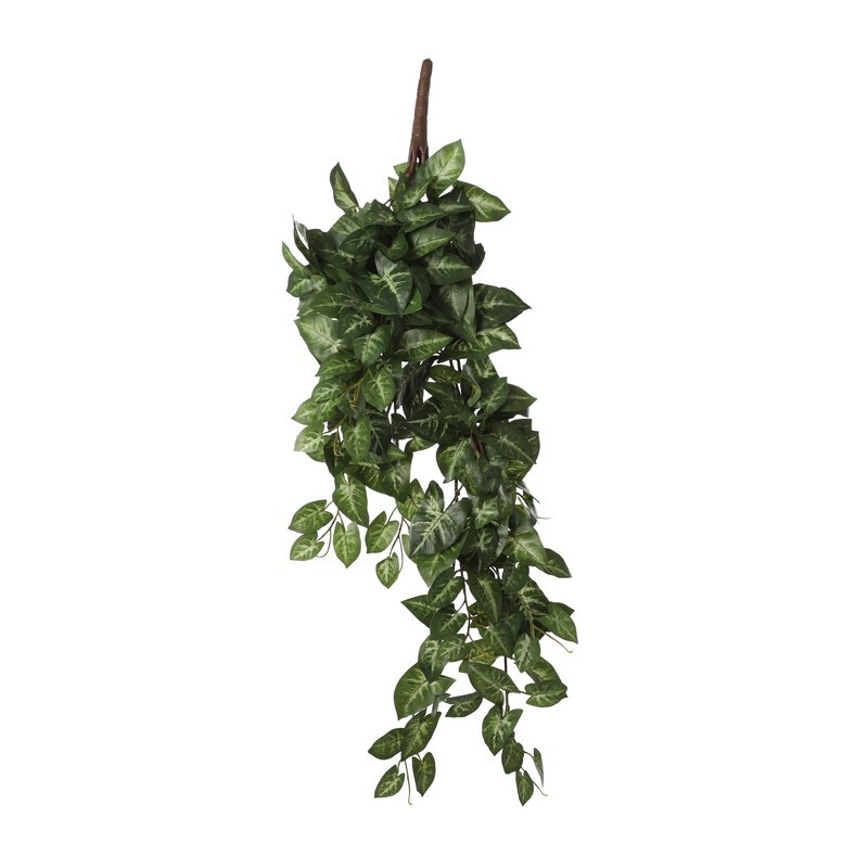 Dekordom Cvet syngonium 54cm 1074947 - green - edlID: EK000770443