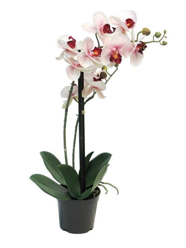 Dekordom Cvet u saksiji orchid 50cm 51344-7 - pink - nntID EK000770414