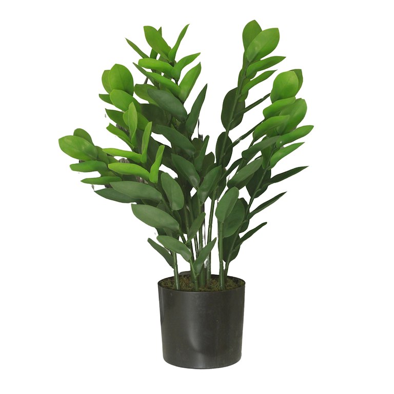 Dekordom Cvet u saksiji - money grass 7pcs - n60ID: EK000770636