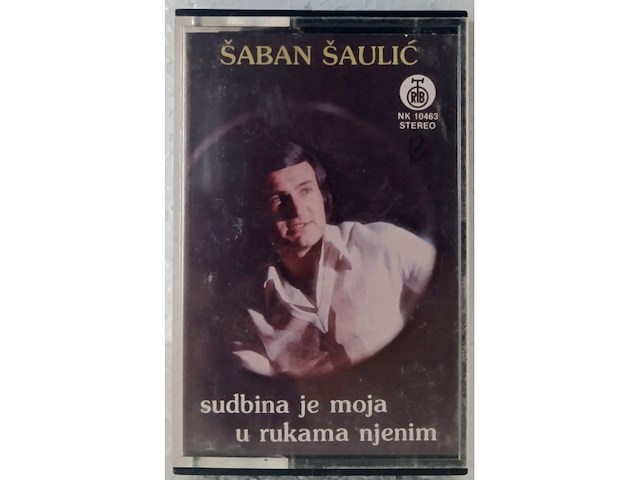 AKN Šaban Šaulić - Sudbina Je Moja U Rukama Njenim