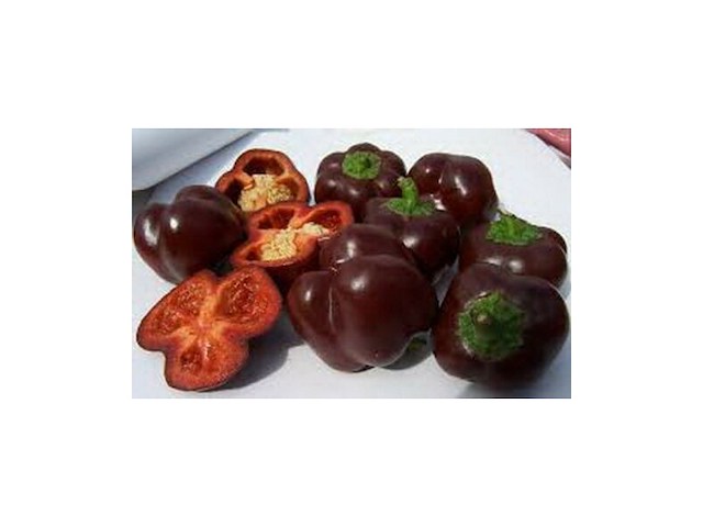 Paprika Mini Bell Chocolate (30 semenki)