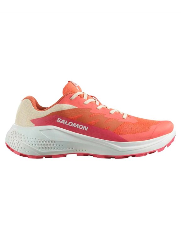 SALOMON Обувки ALPHAGLIDE W
11765,00 RSD