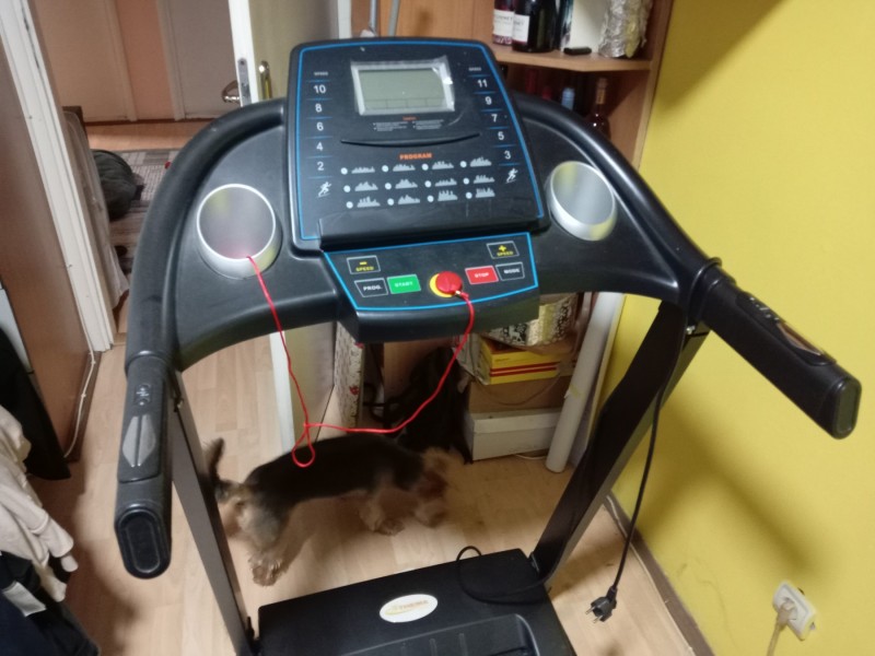 Traka za trčanje