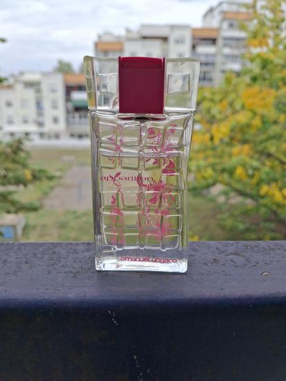 APPARITION PINK, UNGARO