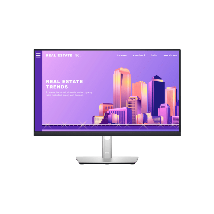 DELL Monitor 24 IPS P2422H