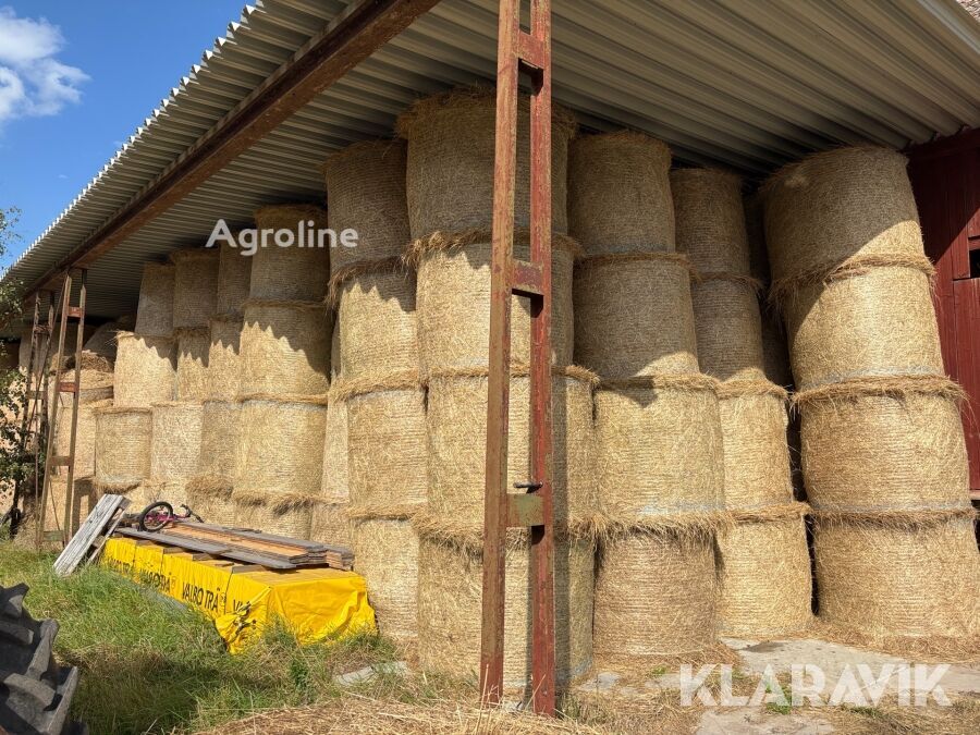 Okrugle bale sena 50 kom