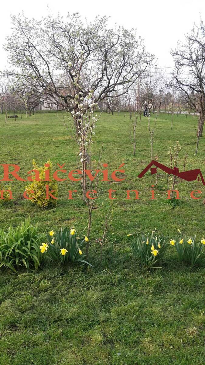 SURCIN RADIOFAR 72m2 , 425000e