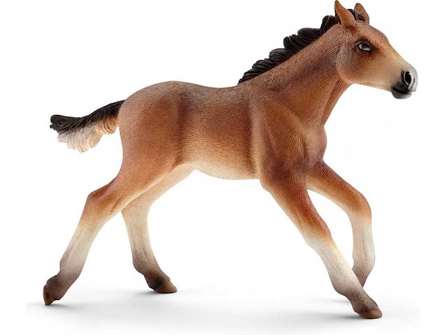 Schleich Domaće životinje - Mustang konj - ždrebe