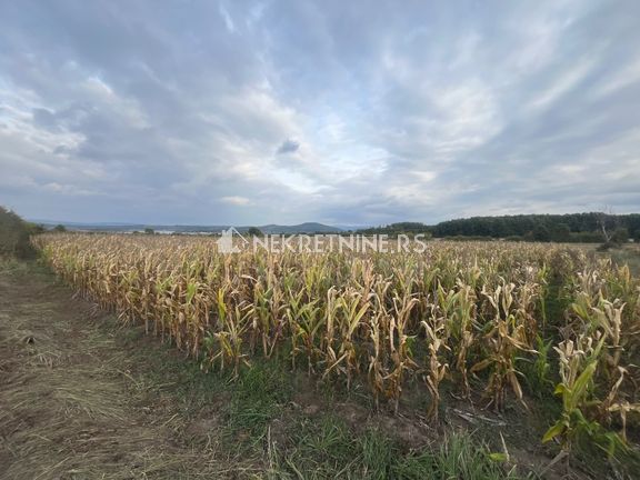 Prodajem njivu u blizini Gruzanskog jezera