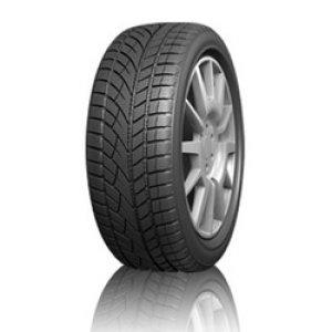Evergreen EW66 205/55 R17 95H XL