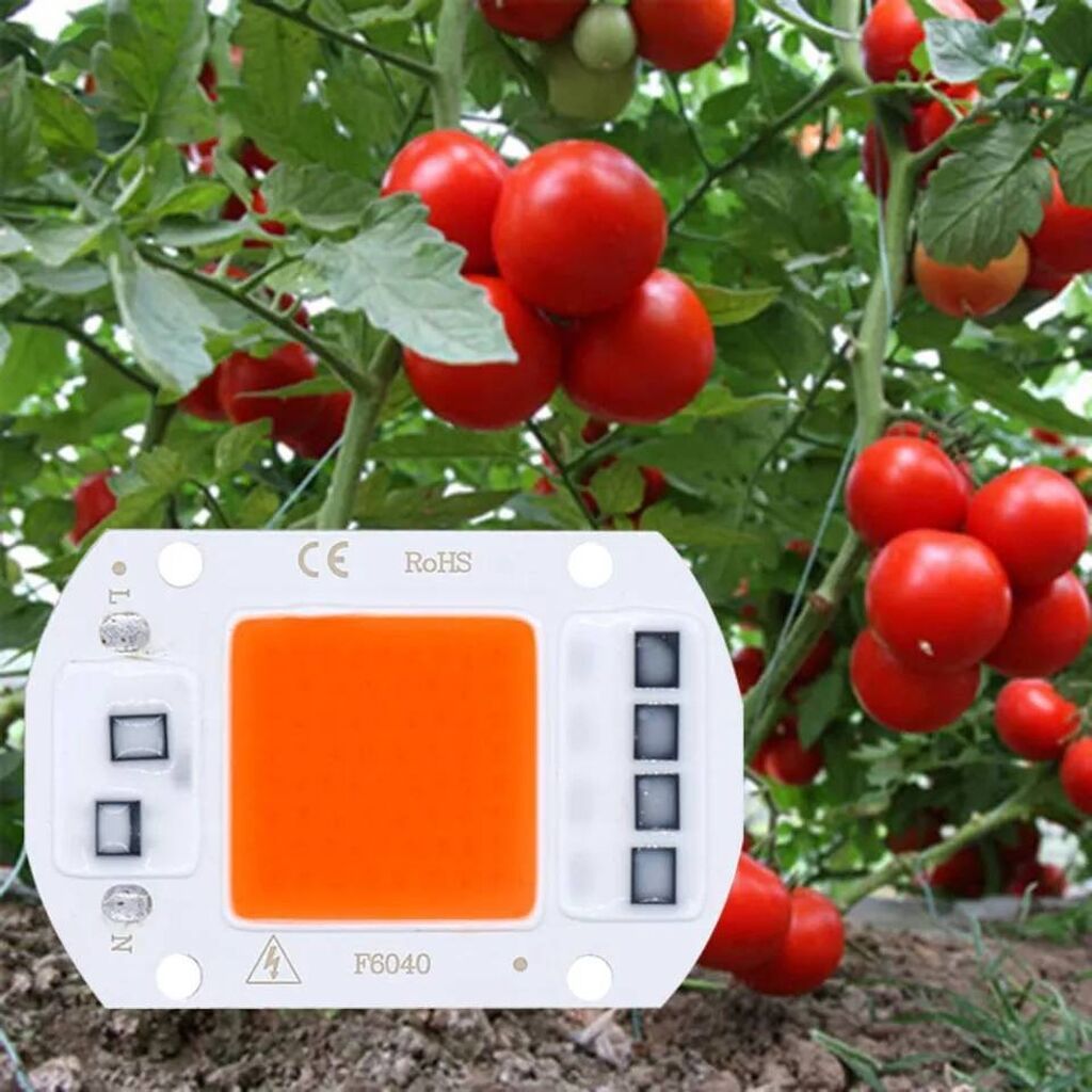 Led Sijalica Za Rast Bilja Full Spectrum Led Grow 30w 220v