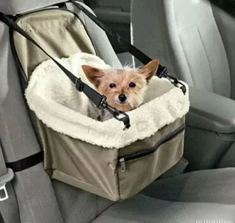 Auto korpa za ljubimce. auto korpa za ljubimce 174 auto korpa za
