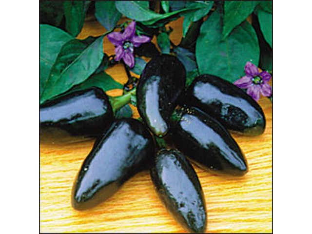 Chilli Black Hungarian (20 semenki)
