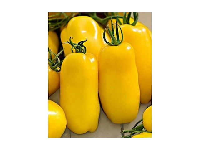 Paradajz banana legs yellow - žuti (25 semenki)