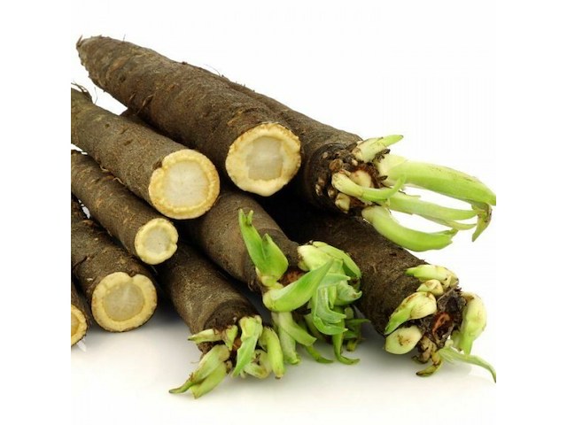 Crni koren (100 semenki) Black Salsify