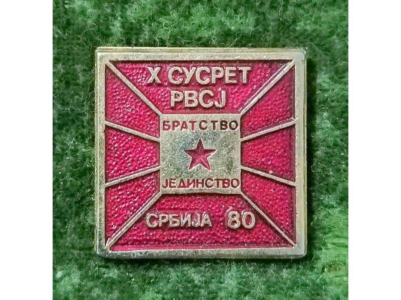 X SUSRET RVSJ SRBIJA 1980.