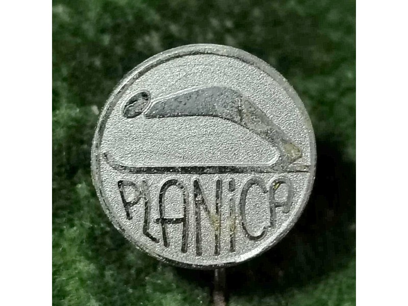 SKIJAŠKA PLANICA.