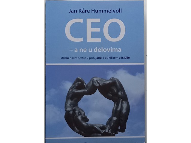 Jan Kare Hummelvoll: CEO A NE U DELOVIMA
