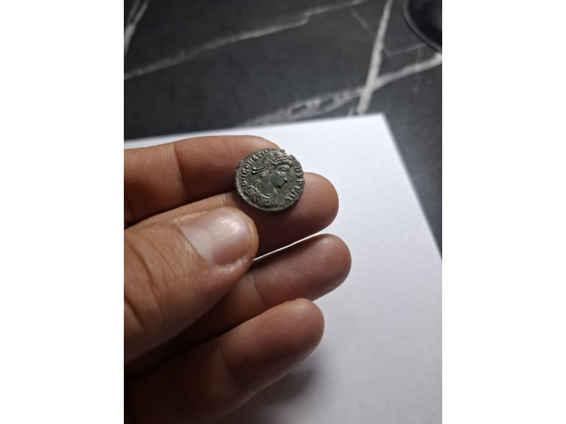 Constantius ll sa pticom redji