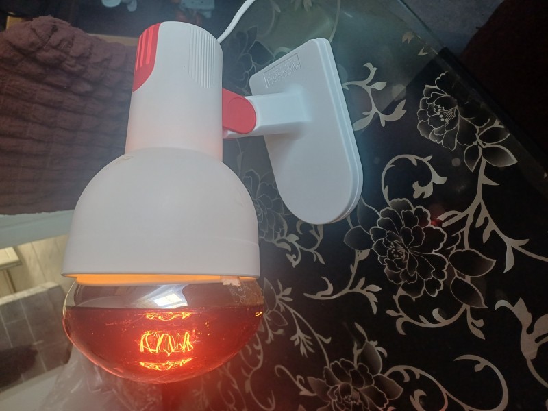 Lampa za bol