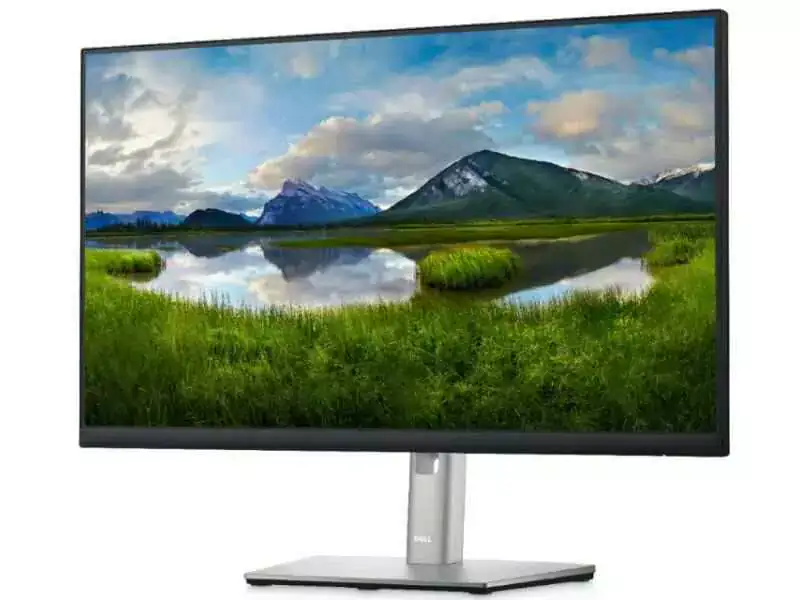 DELL P2422H PROFESSIONAL IPS MONITOR