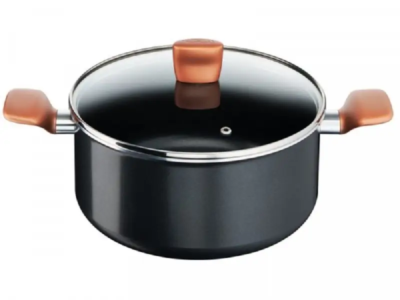 TEFAL TEFAL LONAC EXPRESS SA POKLOPCEM 24 CM – B2554602