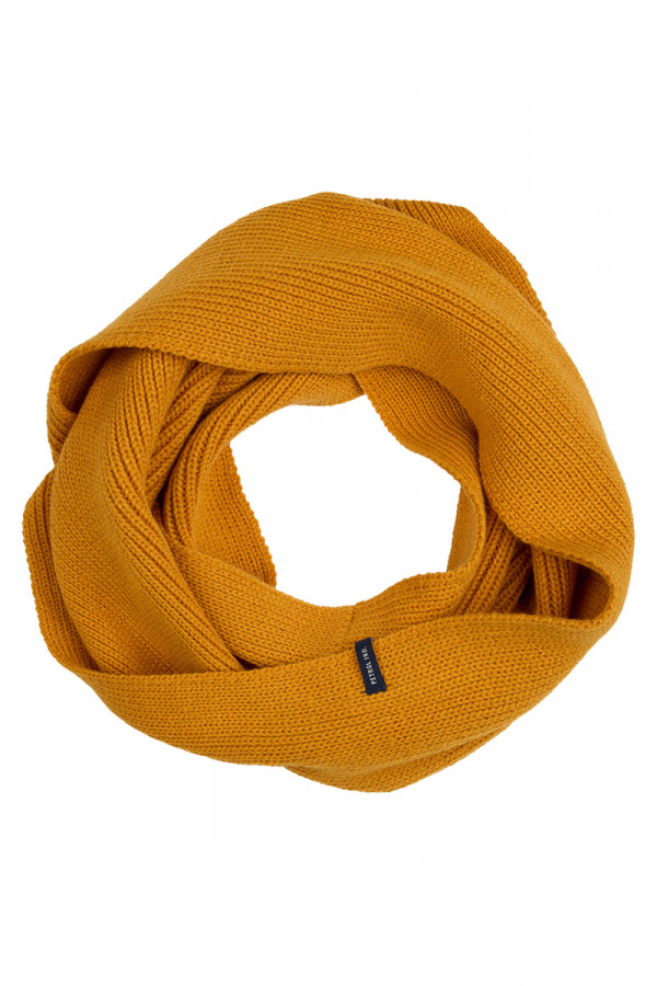 SCARFS